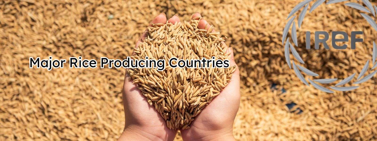 Major Rice Producing Countries - IREF - Indian Rice Exporters Federation