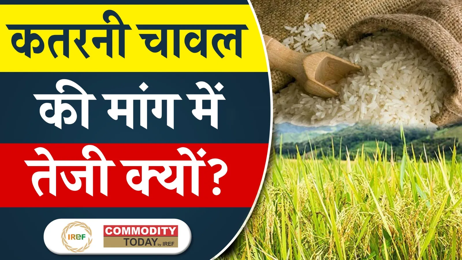 Katarni Rice from Bihar is Now Favourite Among Foreigners