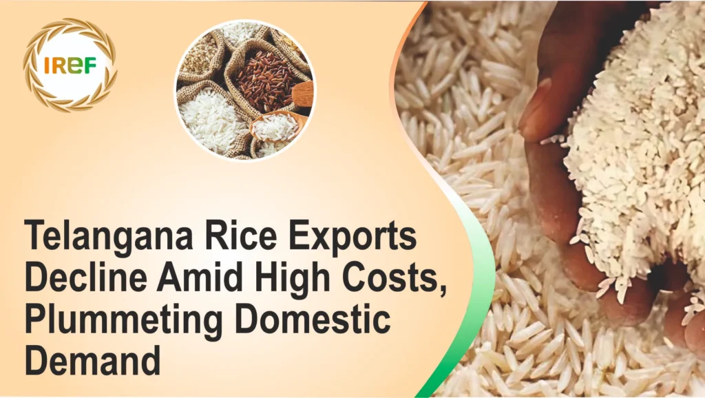Telangana Rice Exports Decline Amid High Costs, Plummeting Domestic Demand