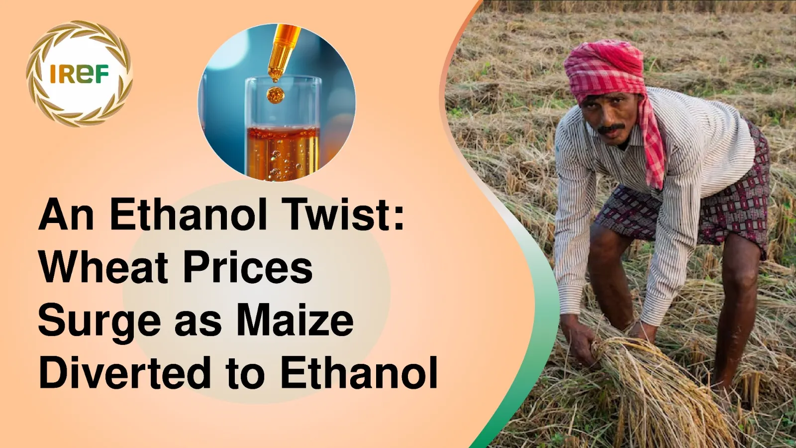 An Ethanol Twist: Wheat Prices Surge as Maize Diverted to Ethanol