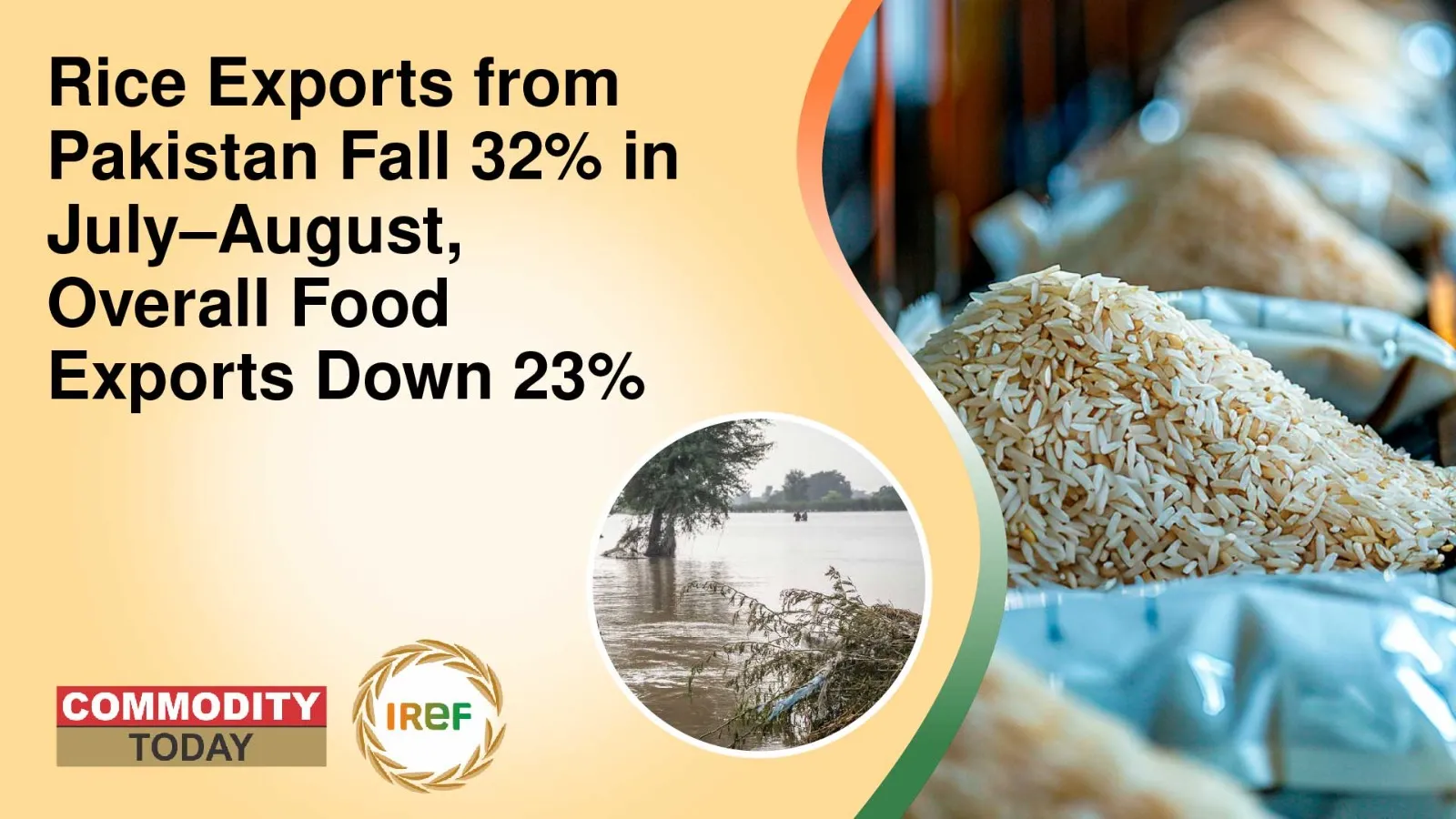 Rice Exports from Pakistan Fall 32% in July–August, Overall Food ...