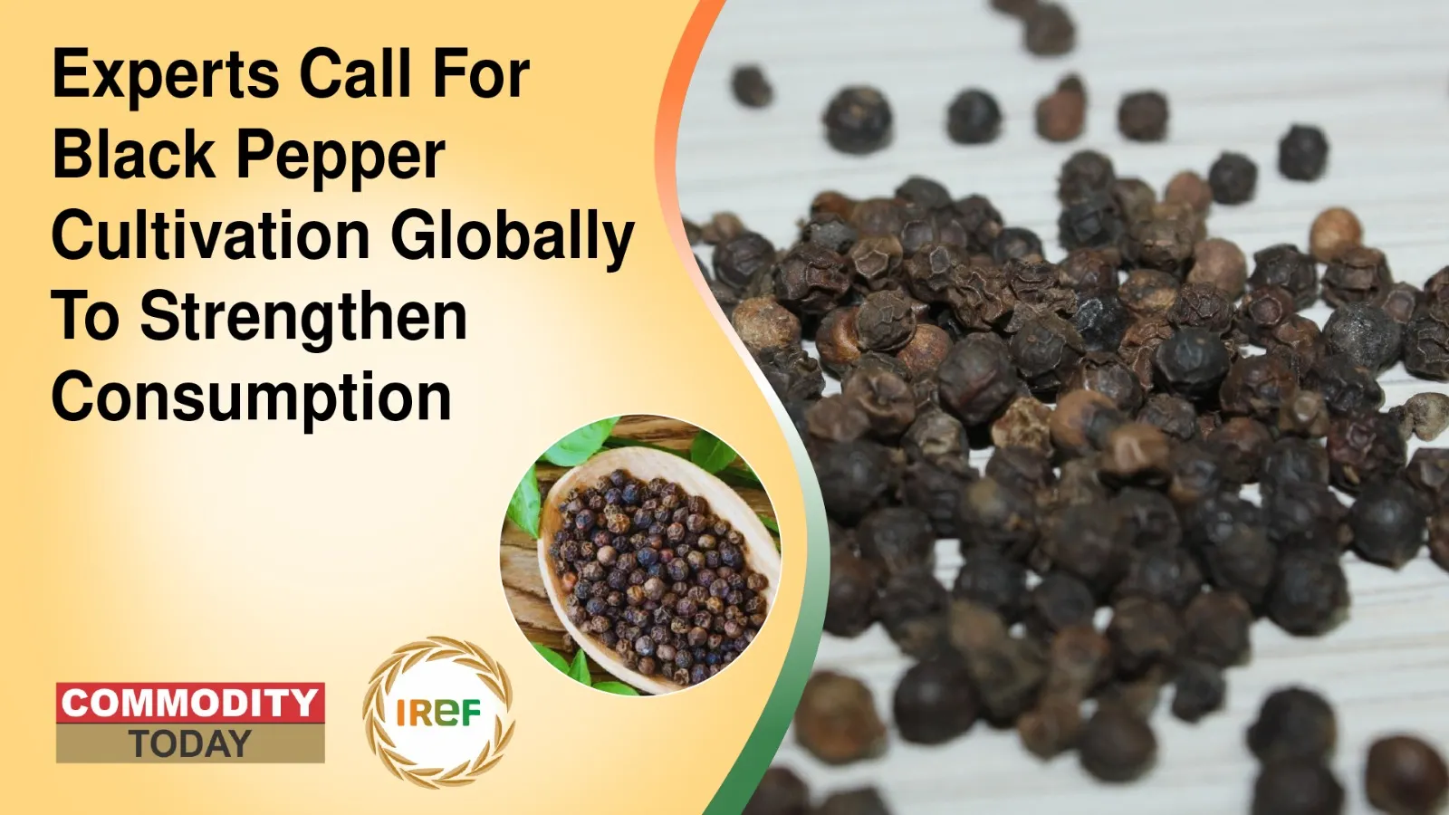 Experts Call For Black Pepper Cultivation Globally To Strengthen ...