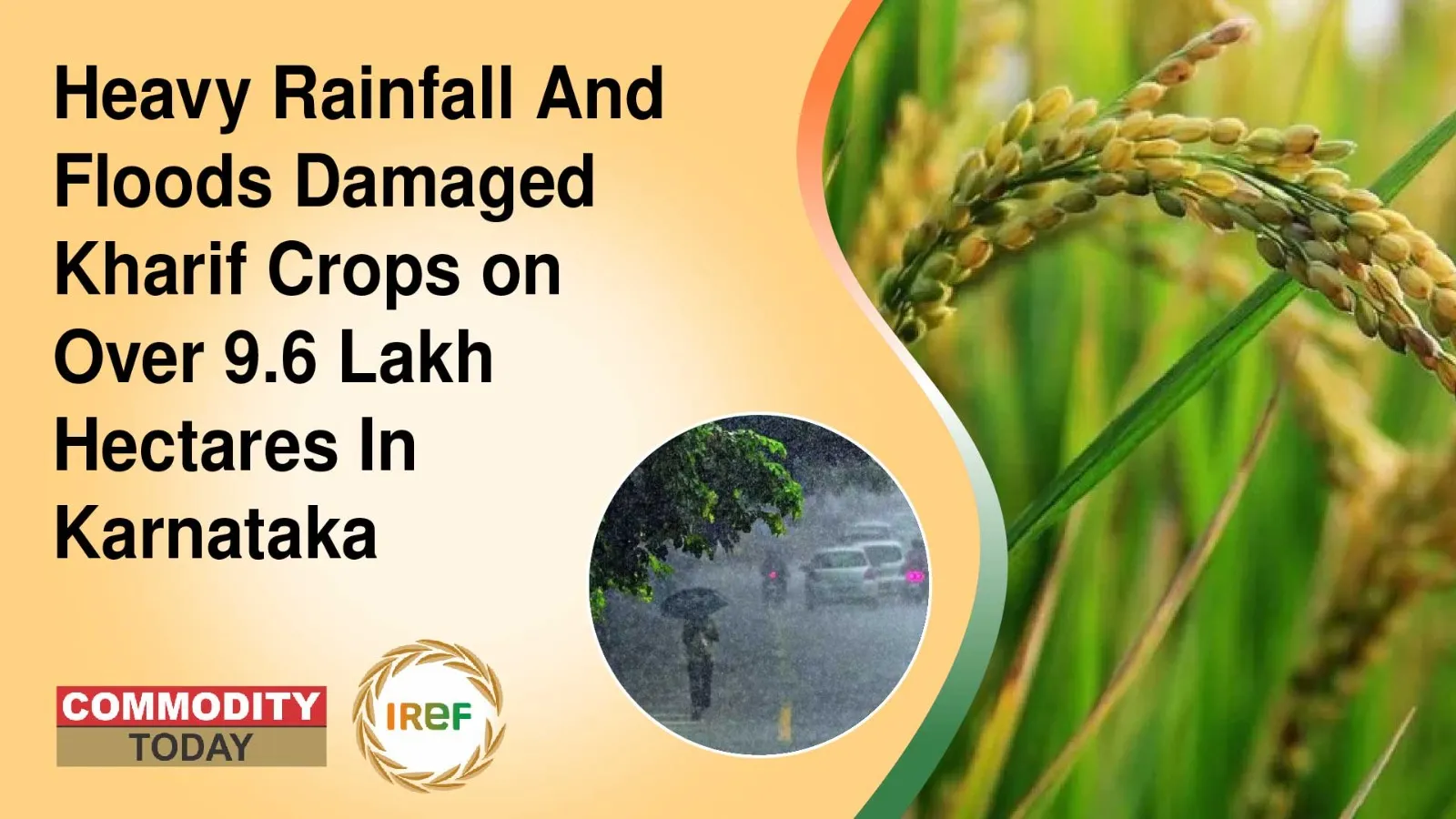 Heavy Rainfall And Floods Damaged Kharif Crops on Over 9.6 Lakh ...
