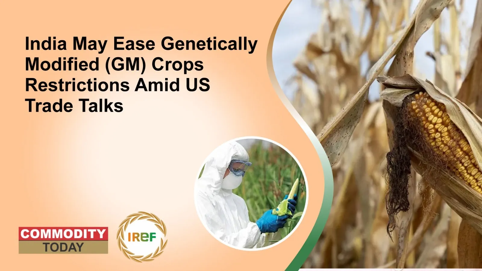 India May Ease Genetically Modified (GM) Crops Restrictions Amid US ...