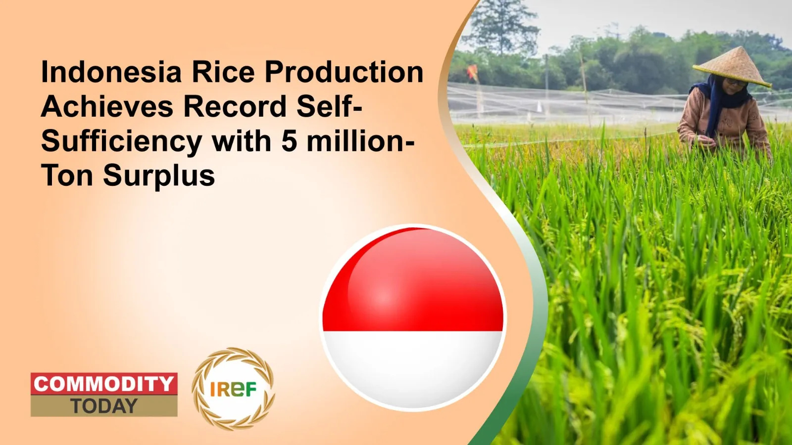 Indonesia Rice Production Achieves Record Self-Sufficiency with 5 ...