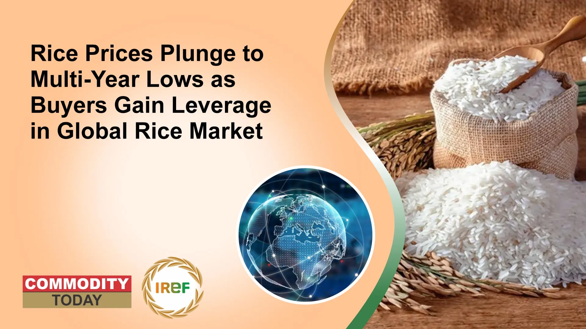 Rice Prices Plunge to Multi-Year Lows as Buyers Gain Leverage in Global ...