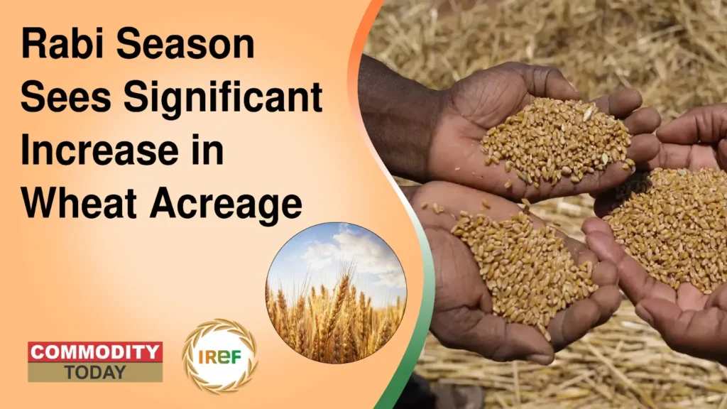 Rabi Season Sees Significant Increase in Wheat Acreage