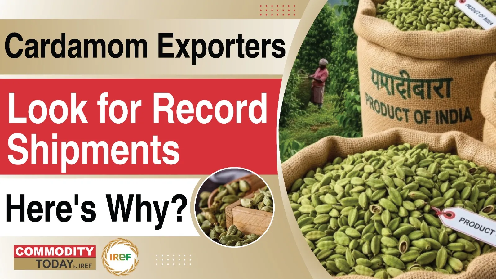 Indian Cardamom Exporters Eye Record Cardamom Exports