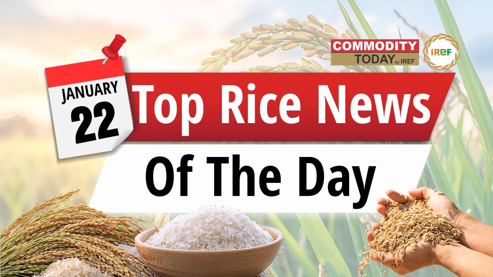 Four New Rice Varieties; Vietnam Stable Rice Prices: Today’s Top Rice News