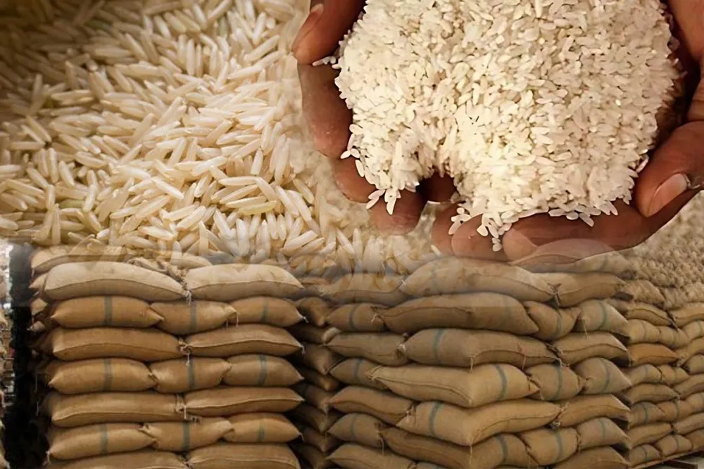 Sub-Saharan Africa Rice Imports & Gulfood 2026: Today's Top Rice News